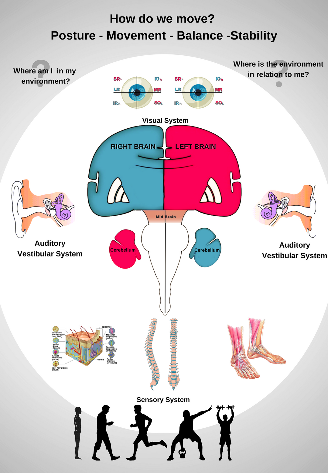 How Do We Move Poster – Posturepro