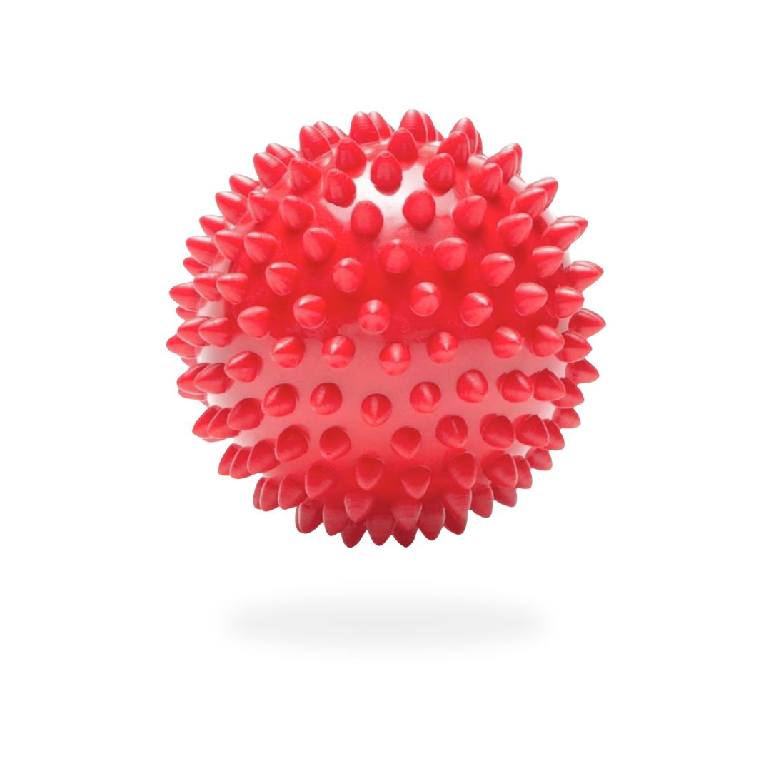 Spike Ball – Posturepro